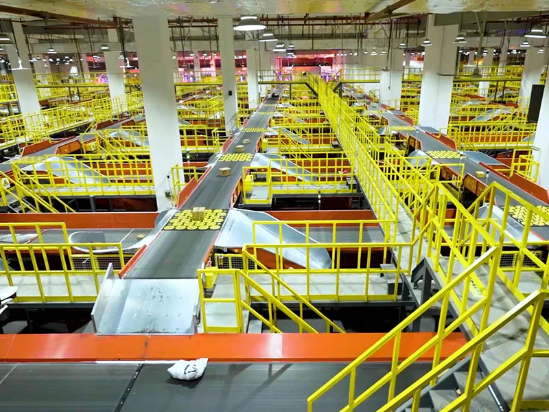 Transforming E-commerce Logistics: CIMC Pteris’ Cargo Handling System ...