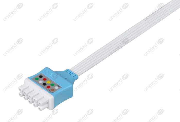Enhancing Cardiac Diagnostics with Lead Wire ECG: A Step Towards ...